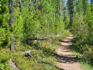 Apgar Fire Lookout – EXPERIENCE GLACIER NATIONAL PARK
