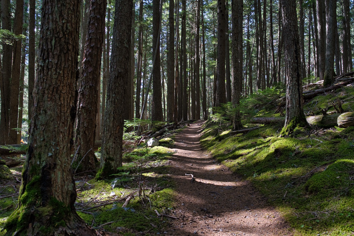 McDonald Creek Trail – EXPERIENCE GLACIER NATIONAL PARK