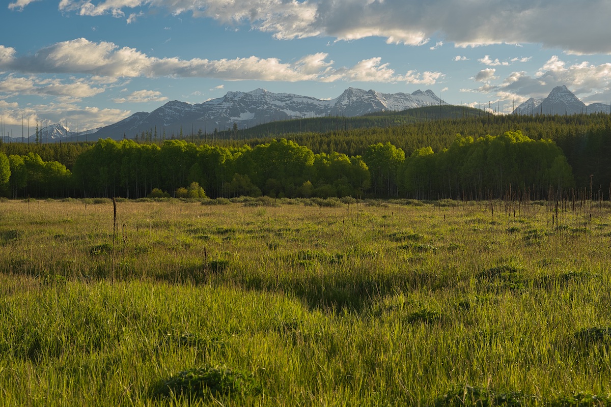 Covey Meadow – EXPERIENCE GLACIER NATIONAL PARK
