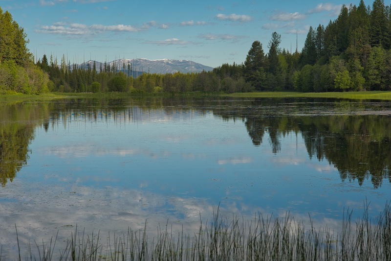 Hidden Meadow – EXPERIENCE GLACIER NATIONAL PARK